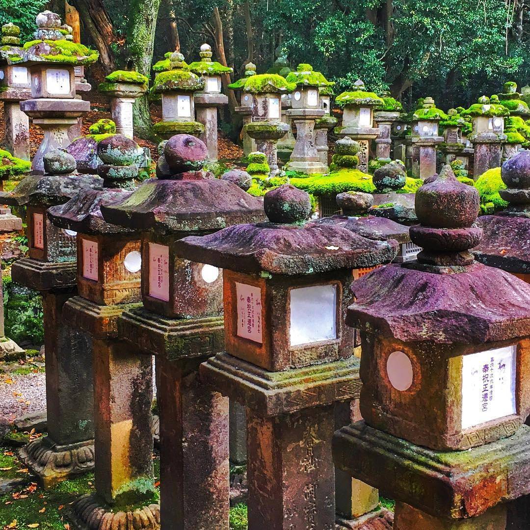 @Visit Japan: Nara's Kasuga Grand shrine, known as 'Kasuga Taisha', is ...