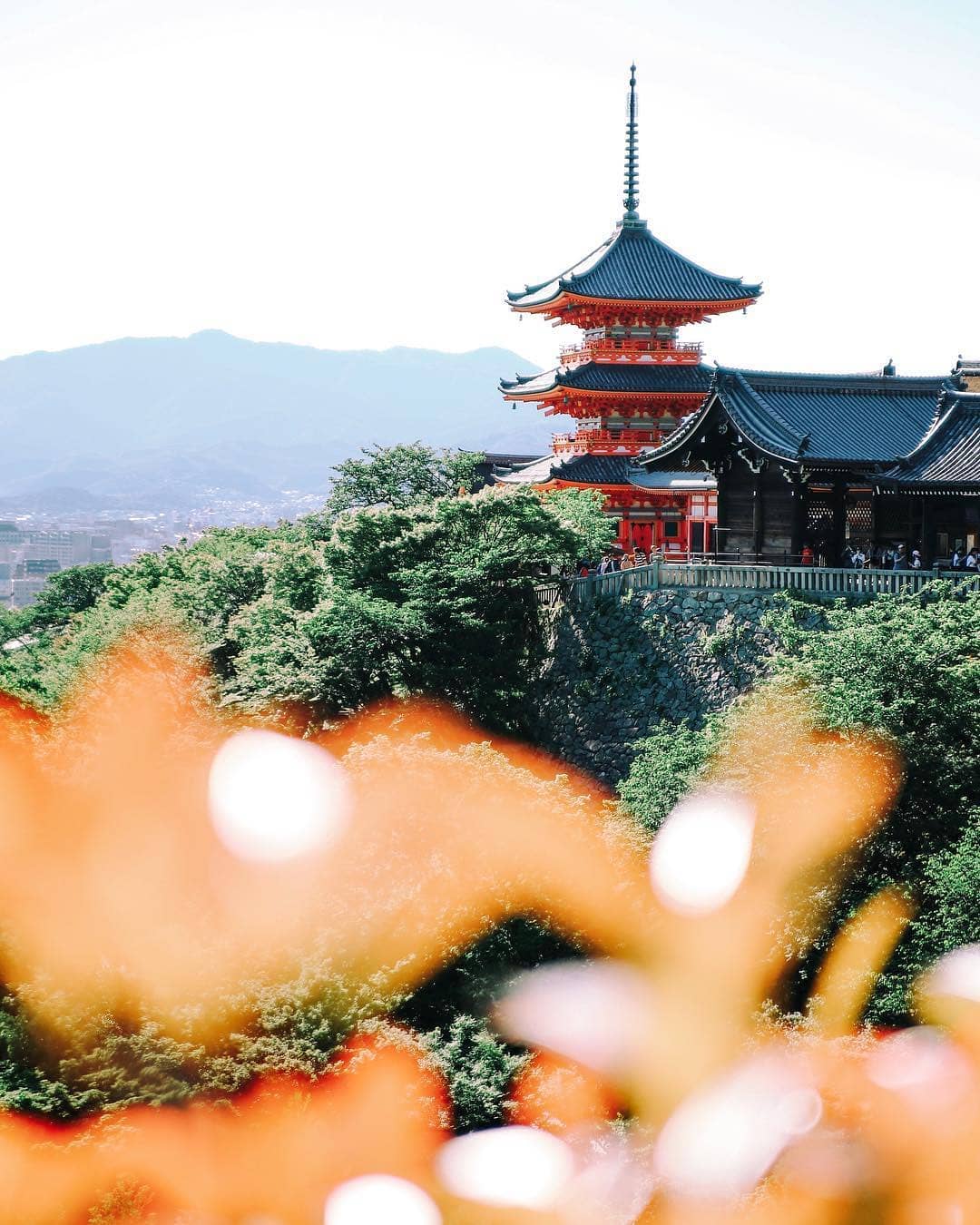 @Visit Japan: Quintissential Japanese views over Kyoto's iconic ...