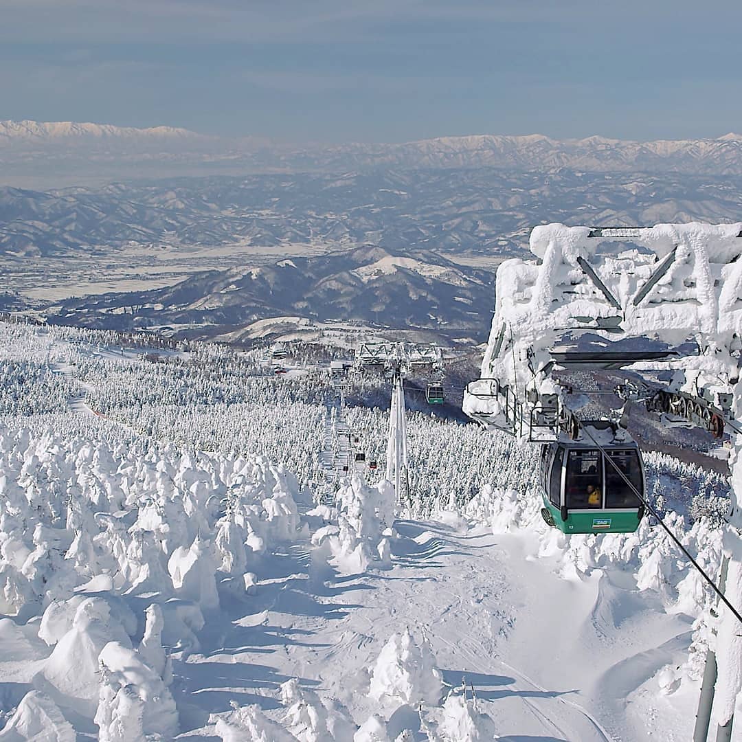 @Visit Japan: ZAO SNOW MONSTERS Every winter, as Siberian winds rush ...