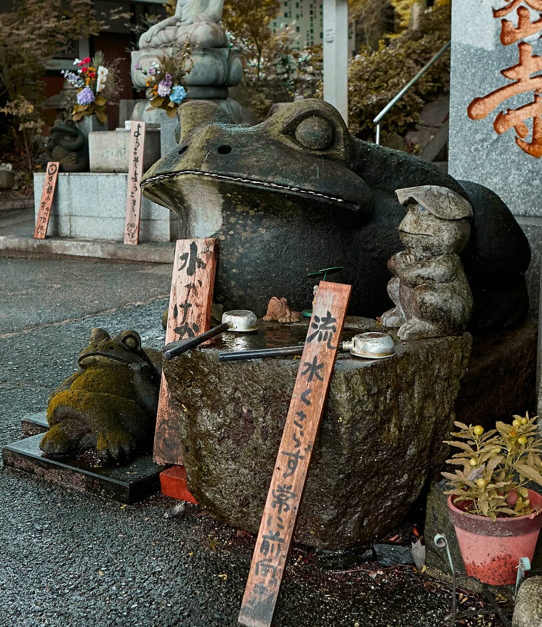 Visit Japan: Like frogs? (It's niche we know!) But if you do, a visit ...
