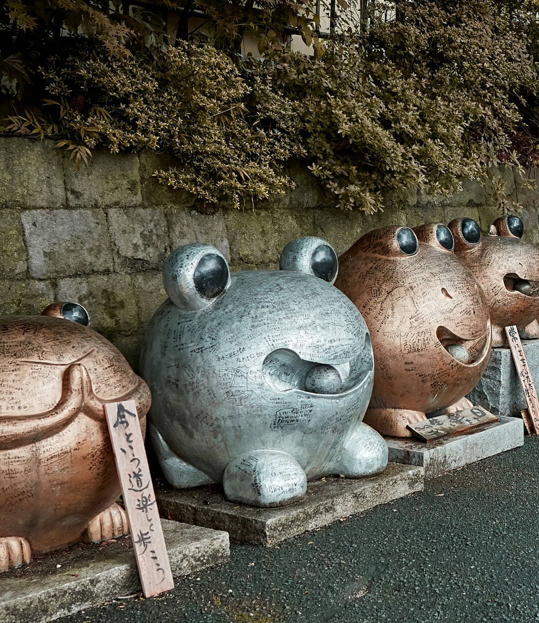 Visit Japan: Like frogs? (It's niche we know!) But if you do, a visit ...