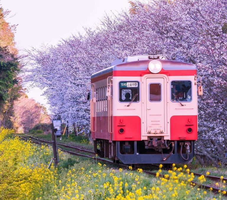 Visit Japan: A cute local train making its way around the Boso ...