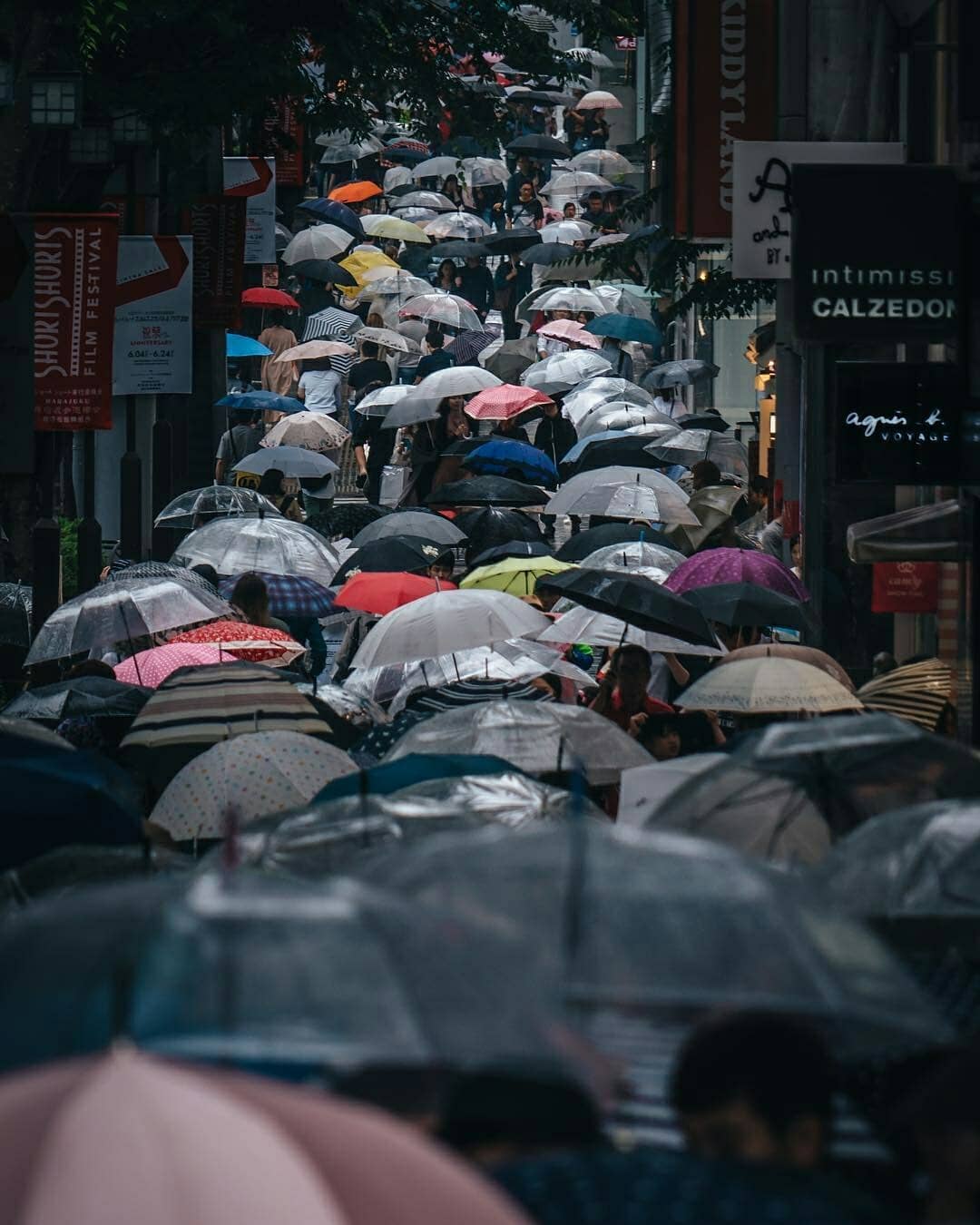 Visit Japan: Summer in Japan is known for a higher concentration of ...