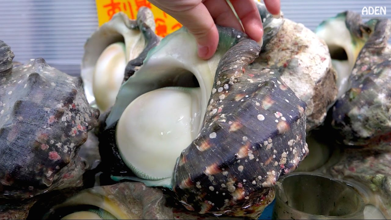 Japanese Street Food: Giant Sea Snail (Yakogai) - Alo Japan All About Japan