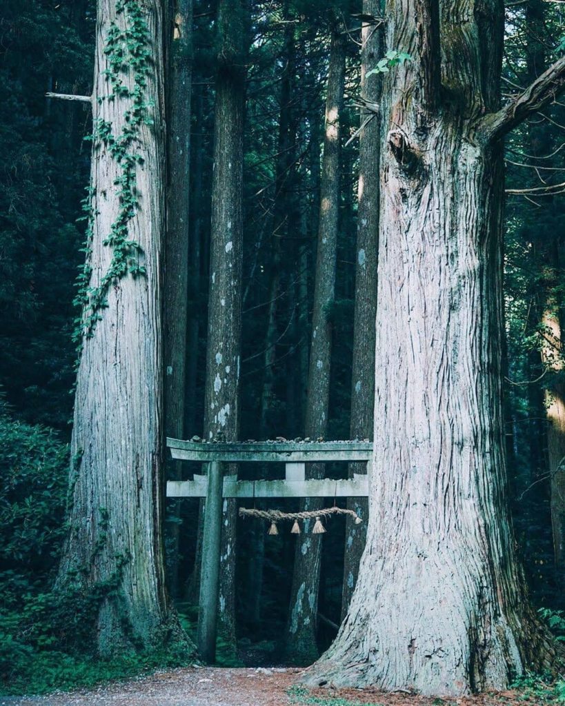 Visit Japan: Get well and truly off the beaten path on Dogo Island ...