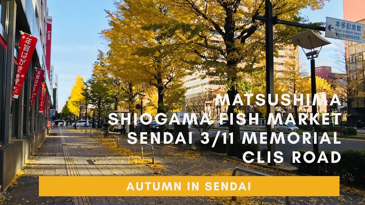 Autumn in Sendai: Ep3 Matsushima, Shiogama Fish Market, Sendai 3/11 ...