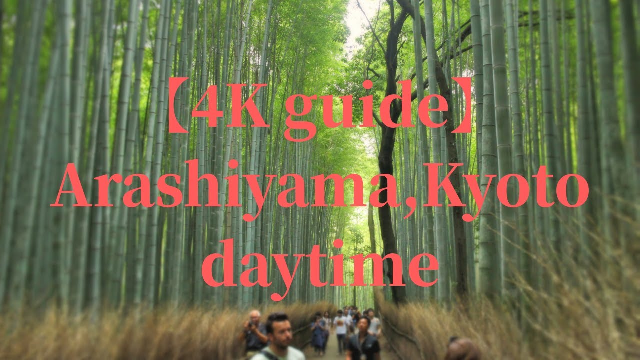 【4K guide】Arashiyama,Kyoto Bamboo pathway in daytime - Alo Japan