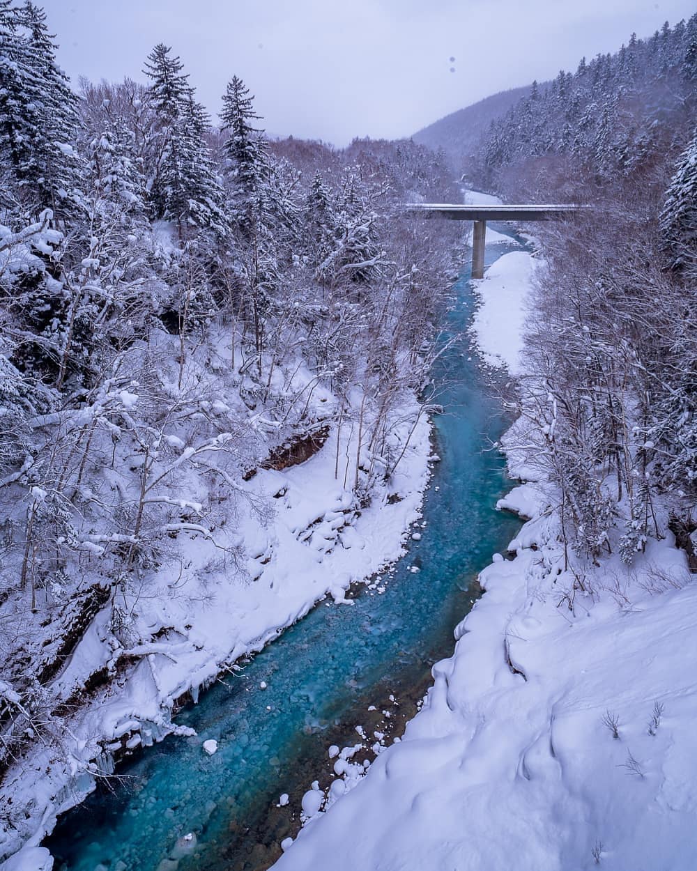 Visit Japan: Some things are just more stunning in the winter! The Biei ...