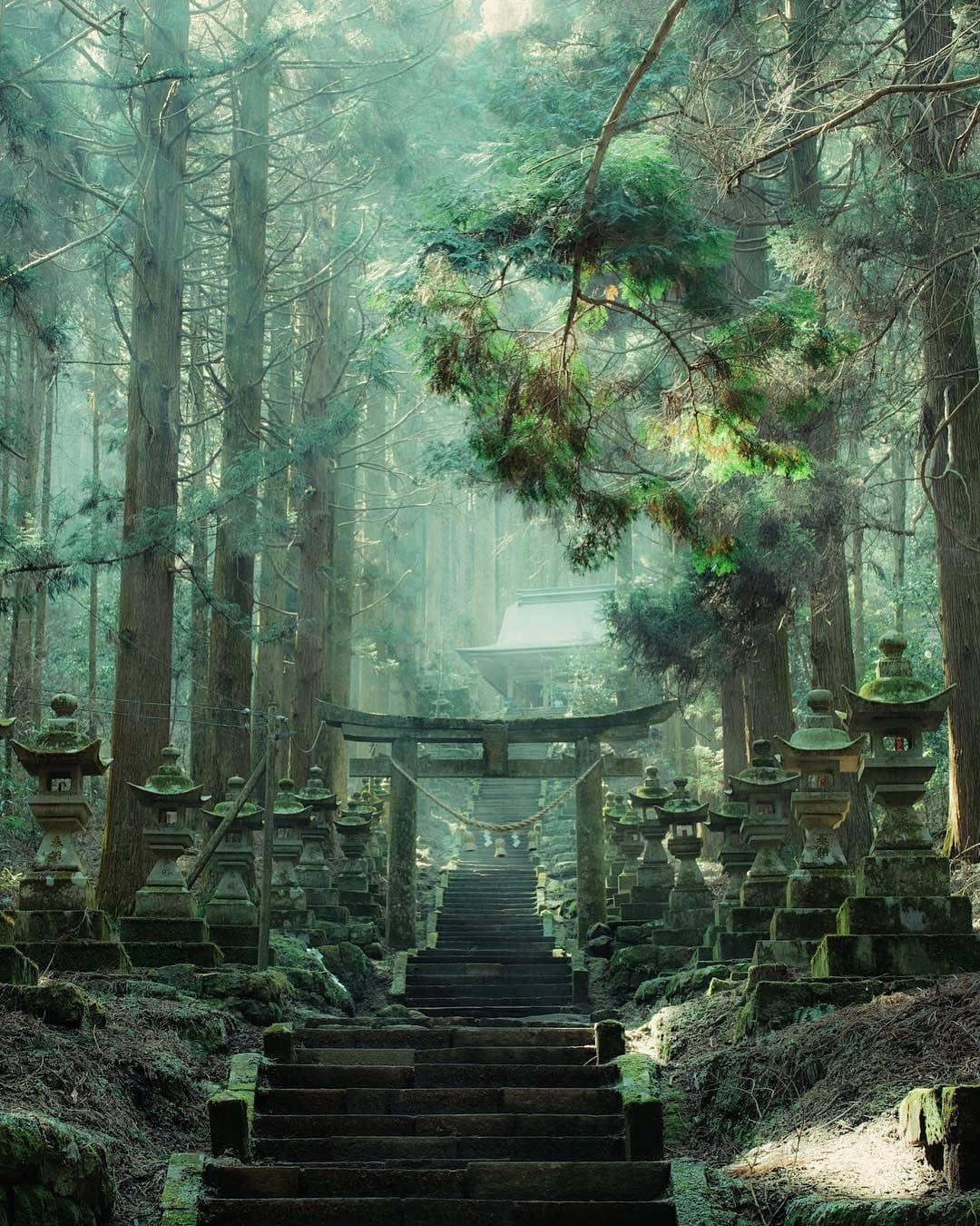 Visit Japan: Nestled deep in the heart of a lush forest, along a path ...