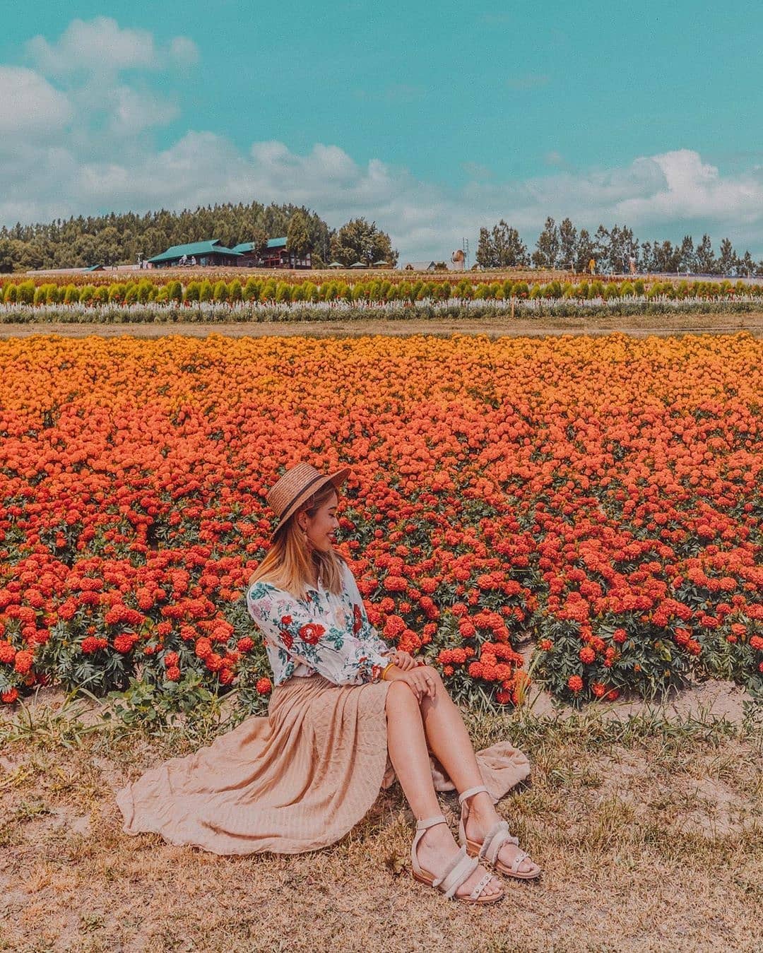 Visit Japan: Pretty as a picture! The famous flower fields of Furano ...