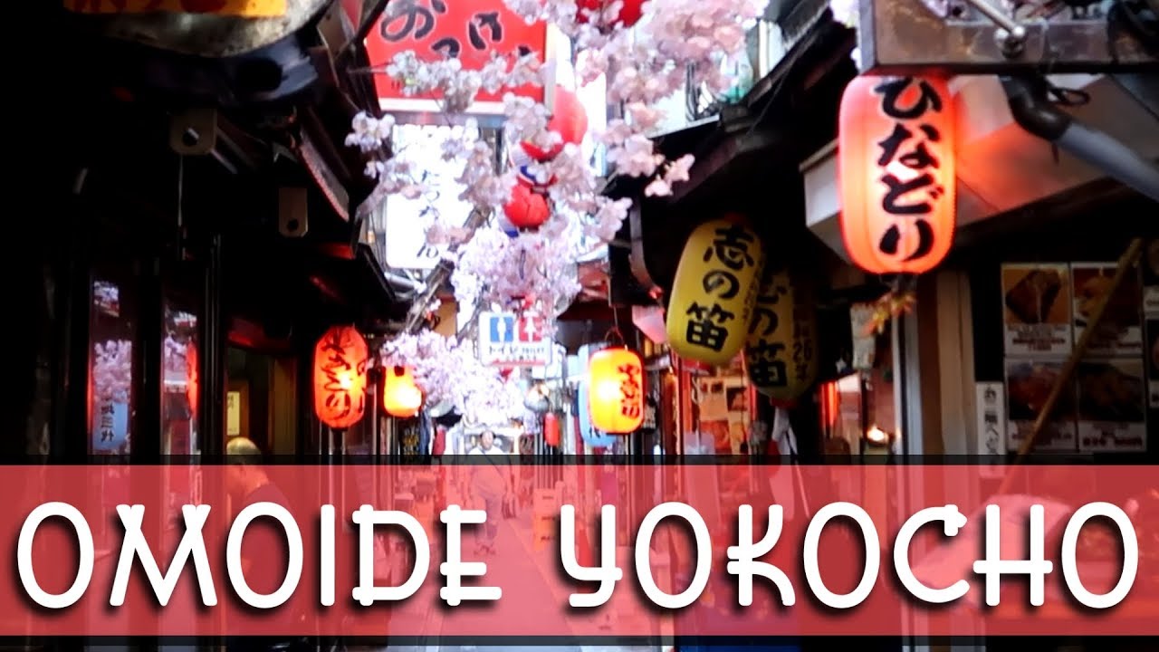 a walk down Omoide Yokocho (Memory lane alley) in Shinjuku, Tokyo ...