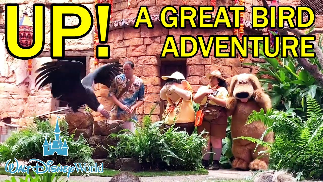 UPDATED SHOW UP! A Great Bird Adventure - Disney’s Animal Kingdom - Alo ...