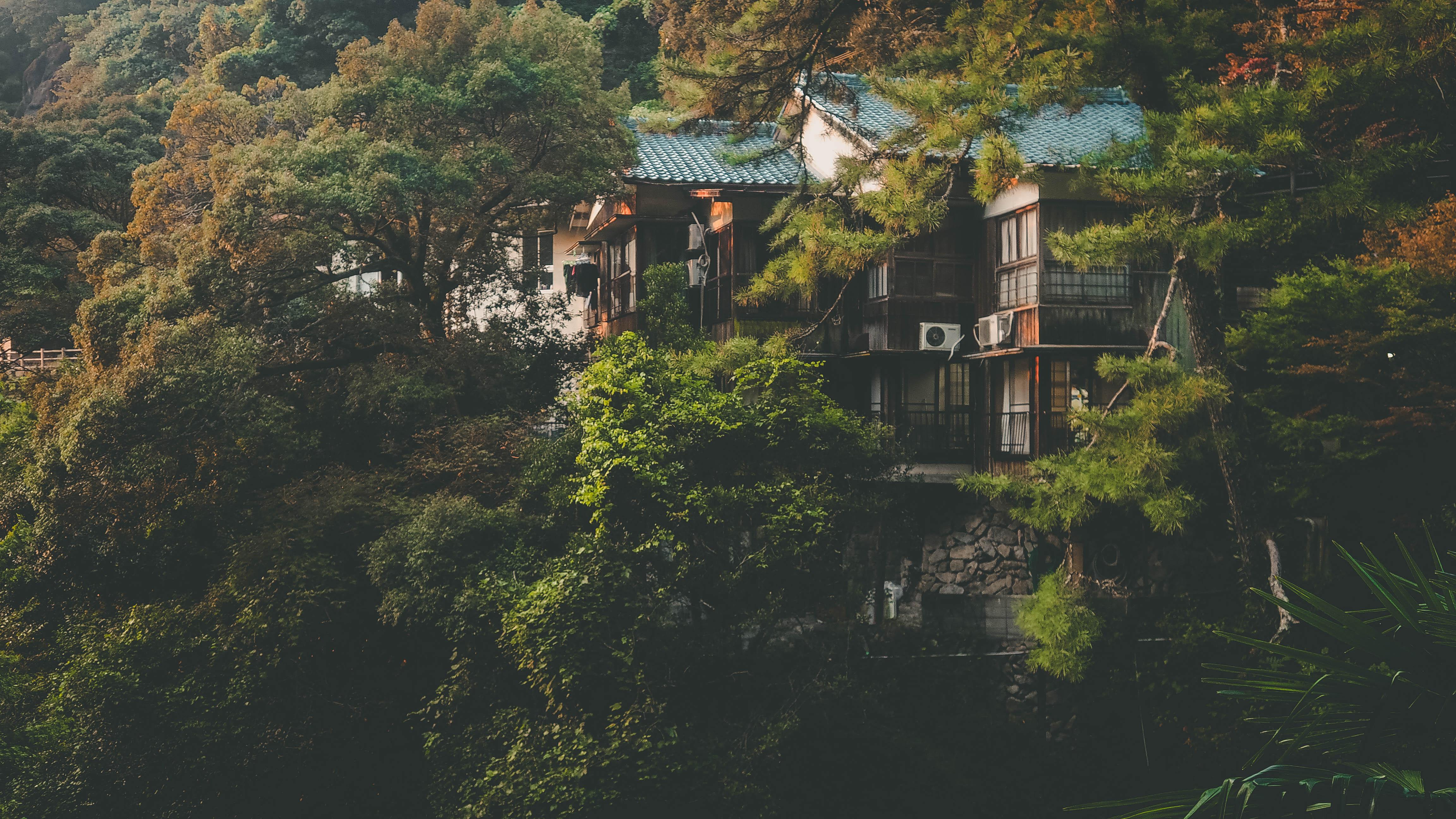 Restaurant in Rural Kyushu - Alo Japan All About Japan