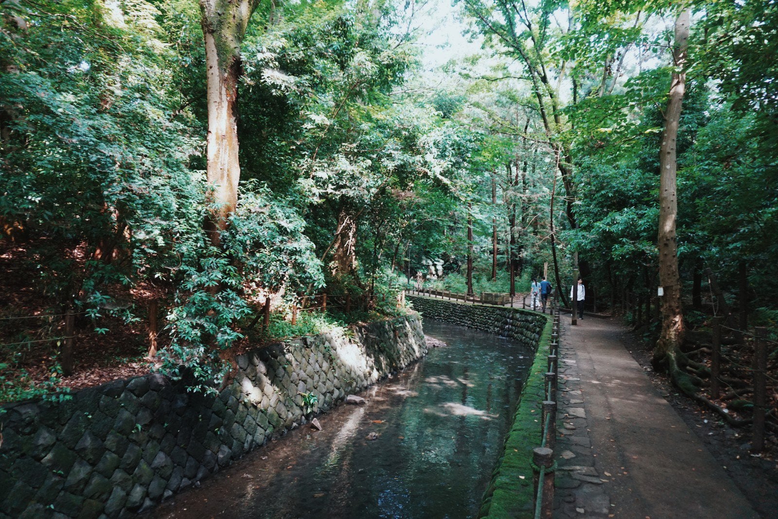 Todoroki Gorge, an Oasis in Tokyo - Alo Japan All About Japan