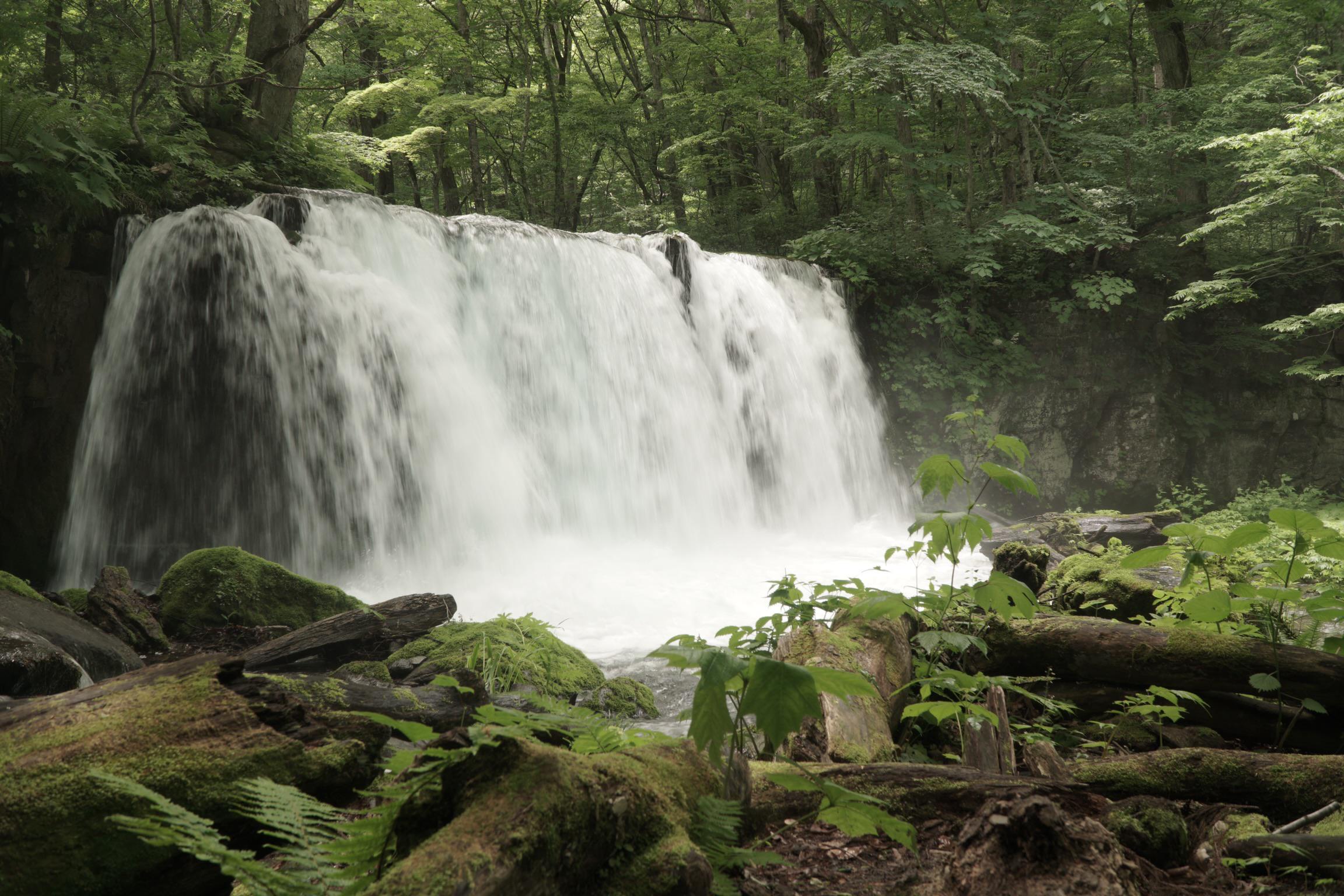 Choshi Otaki Waterfall in Oirase Gorge - Alo Japan All About Japan