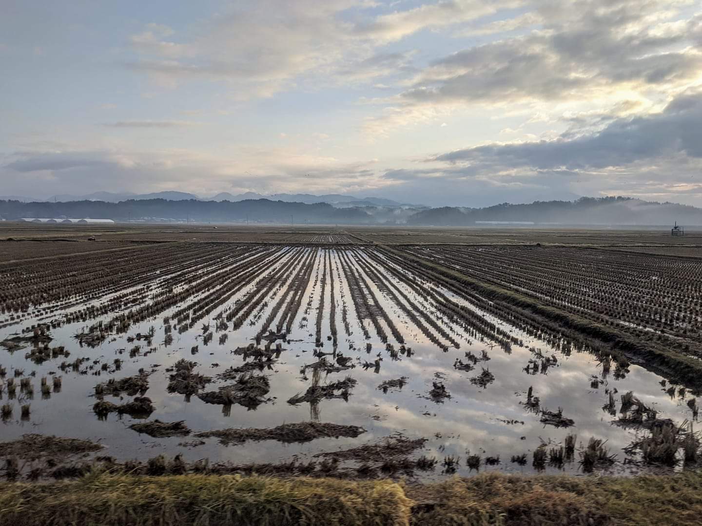 Early morning in the inaka - Alo Japan