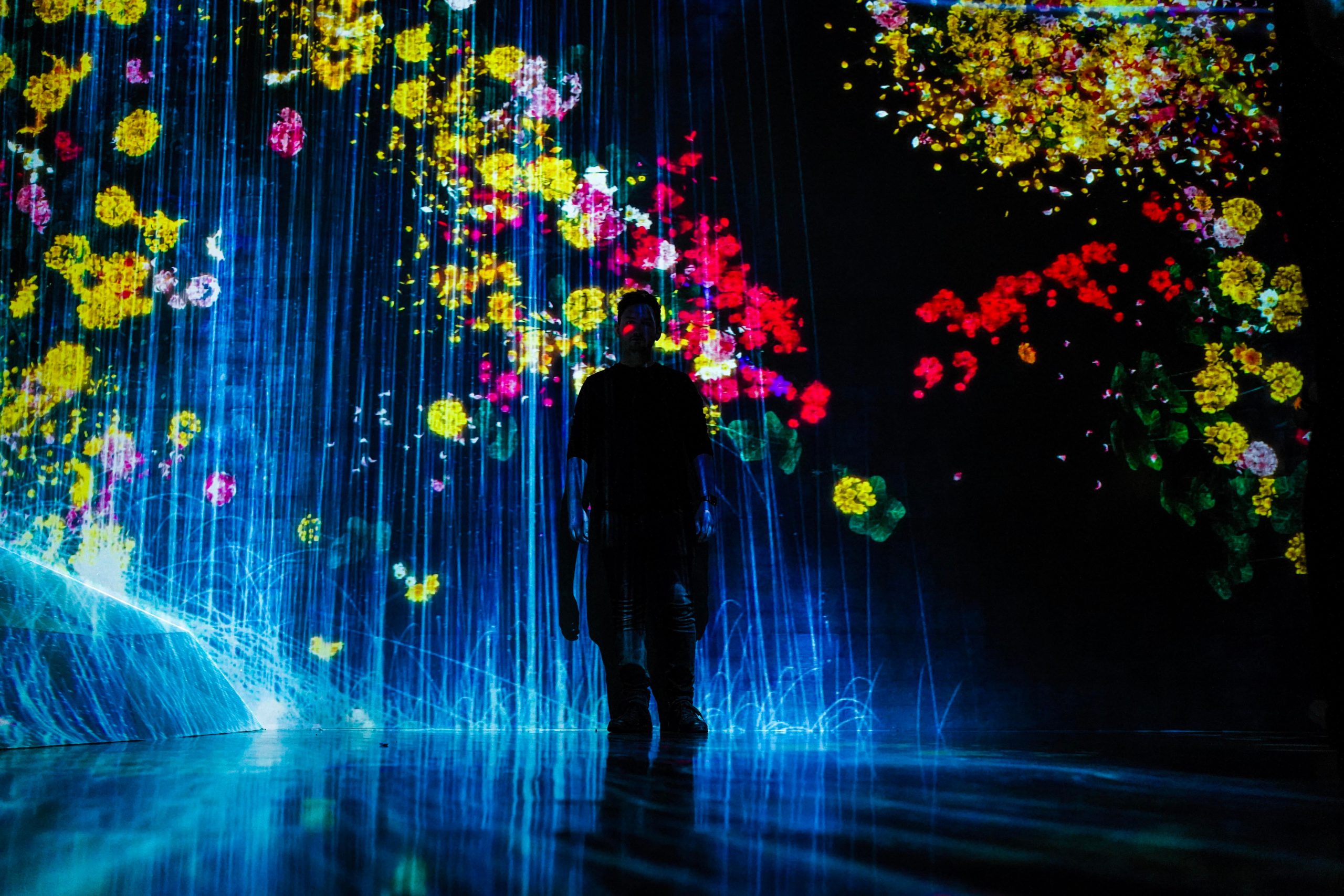 Team Labs Borderless in Tokyo. An amazing experience! - Alo Japan All ...