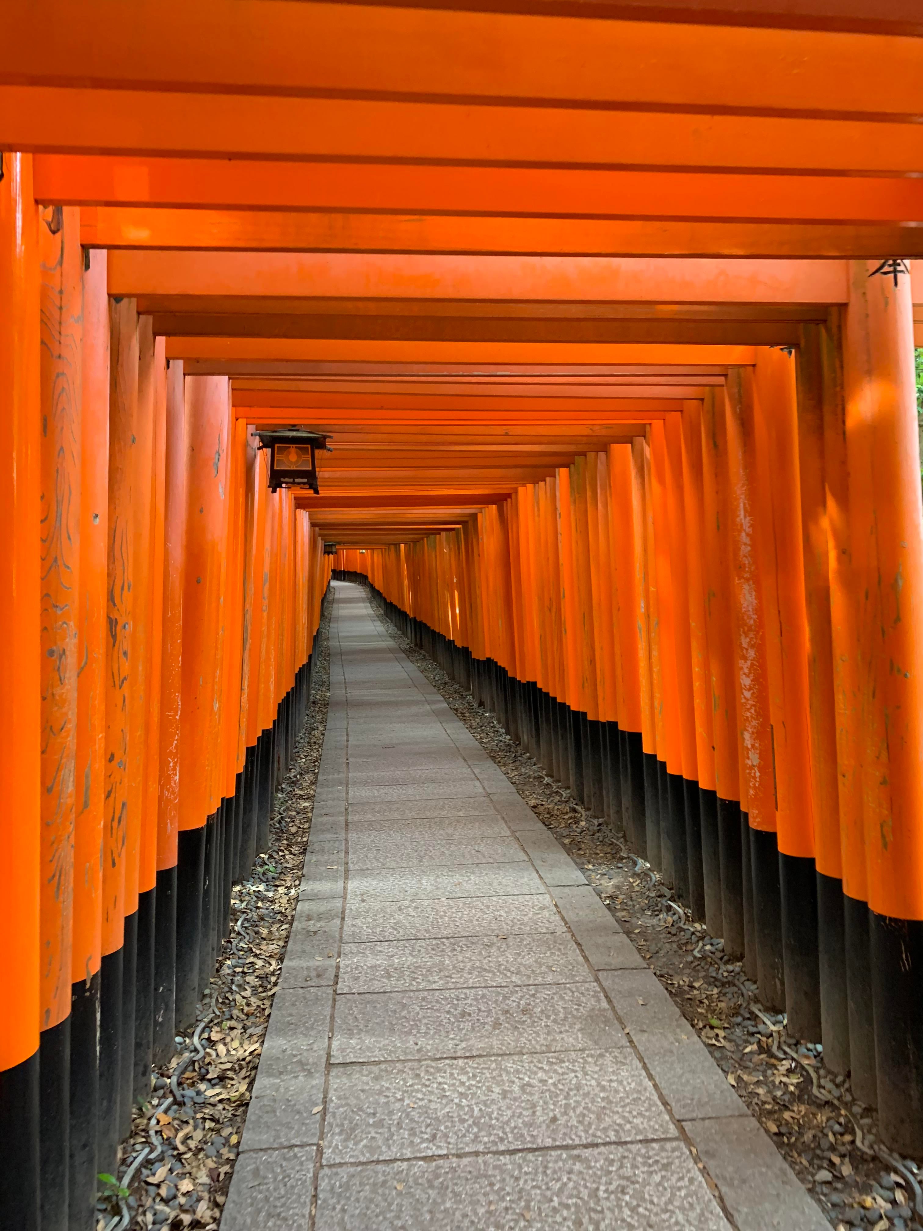 If you go early enough, Fushimi Inari is magical - Alo Japan All About ...