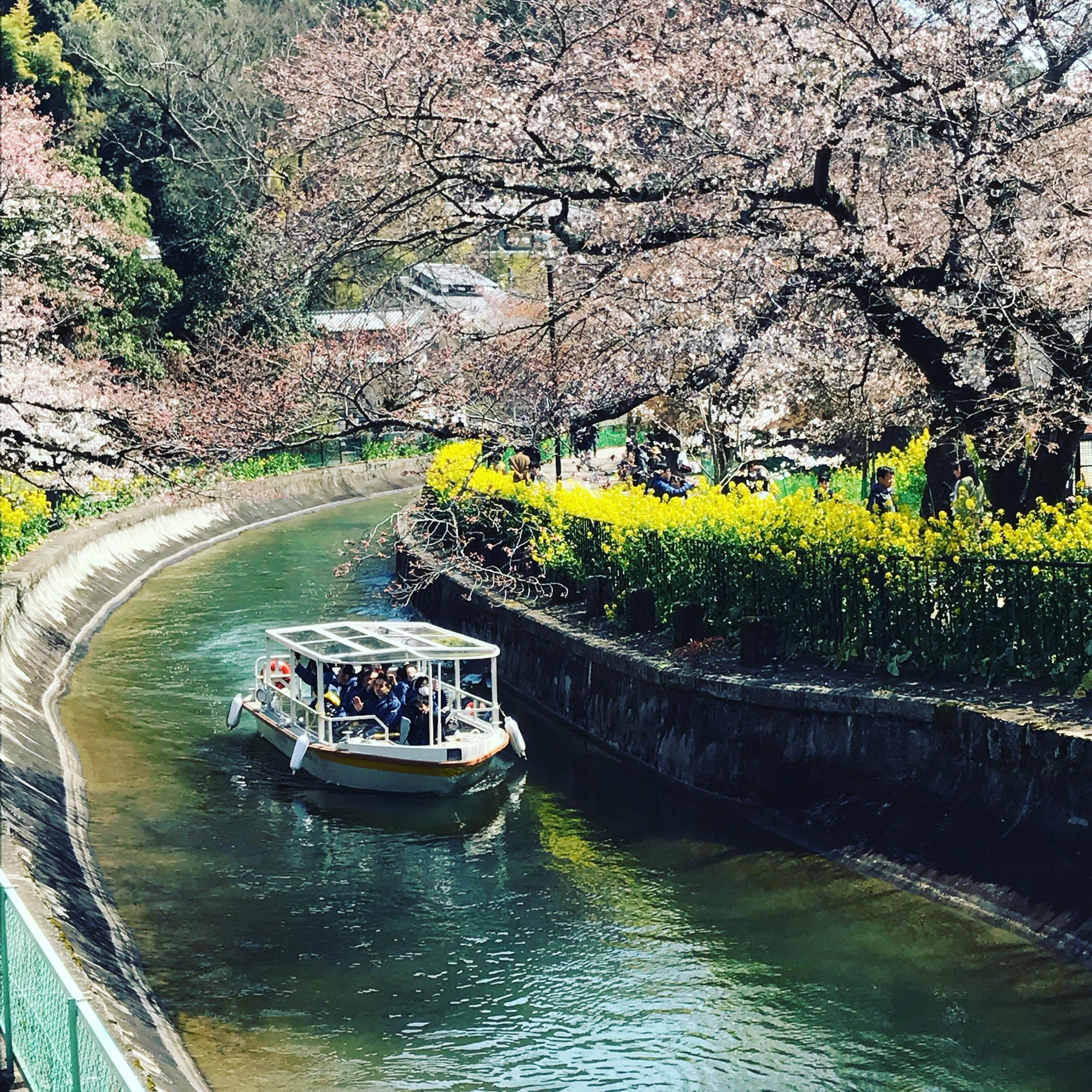 Biwako sosui canal.Kyoto - Alo Japan