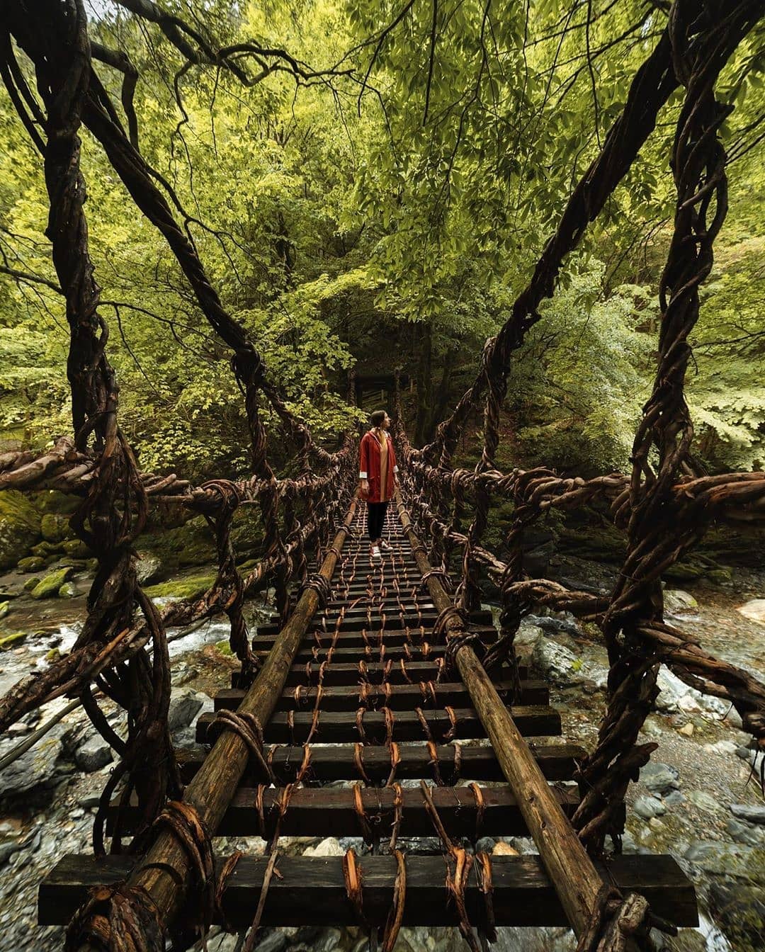 Visit Japan: One of Japan's most unusual bridges, Iya Valley's ...