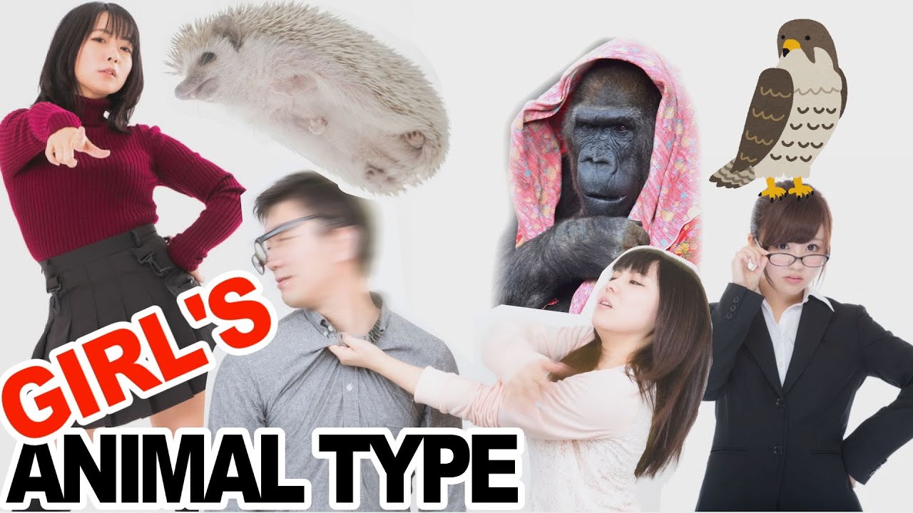 10 Types of Japanese Girls: Animal girl types you will find in Japan ...
