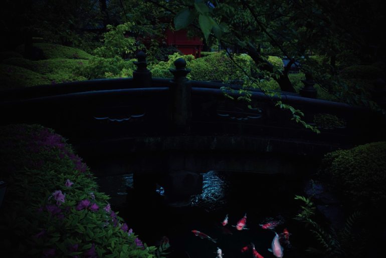 Visit Japan: Have you heard of the "Diamond Route" in Japan? It is a ...