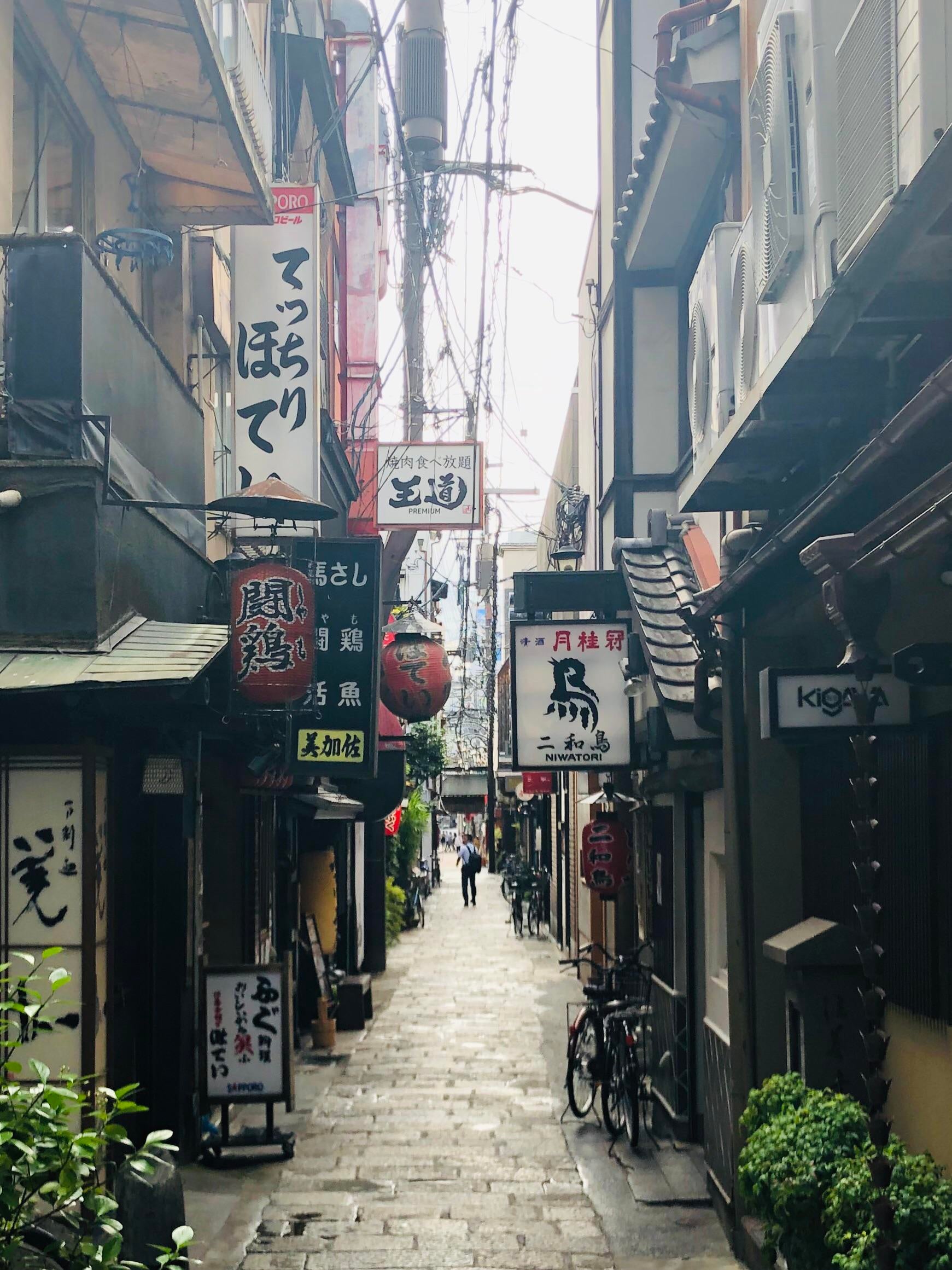 a side street in Osaka’s Dotonbori neighborhood - Alo Japan All About Japan