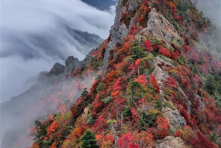 Visit Japan: Shibuya is a “must see” destination for visitors to Japan ...