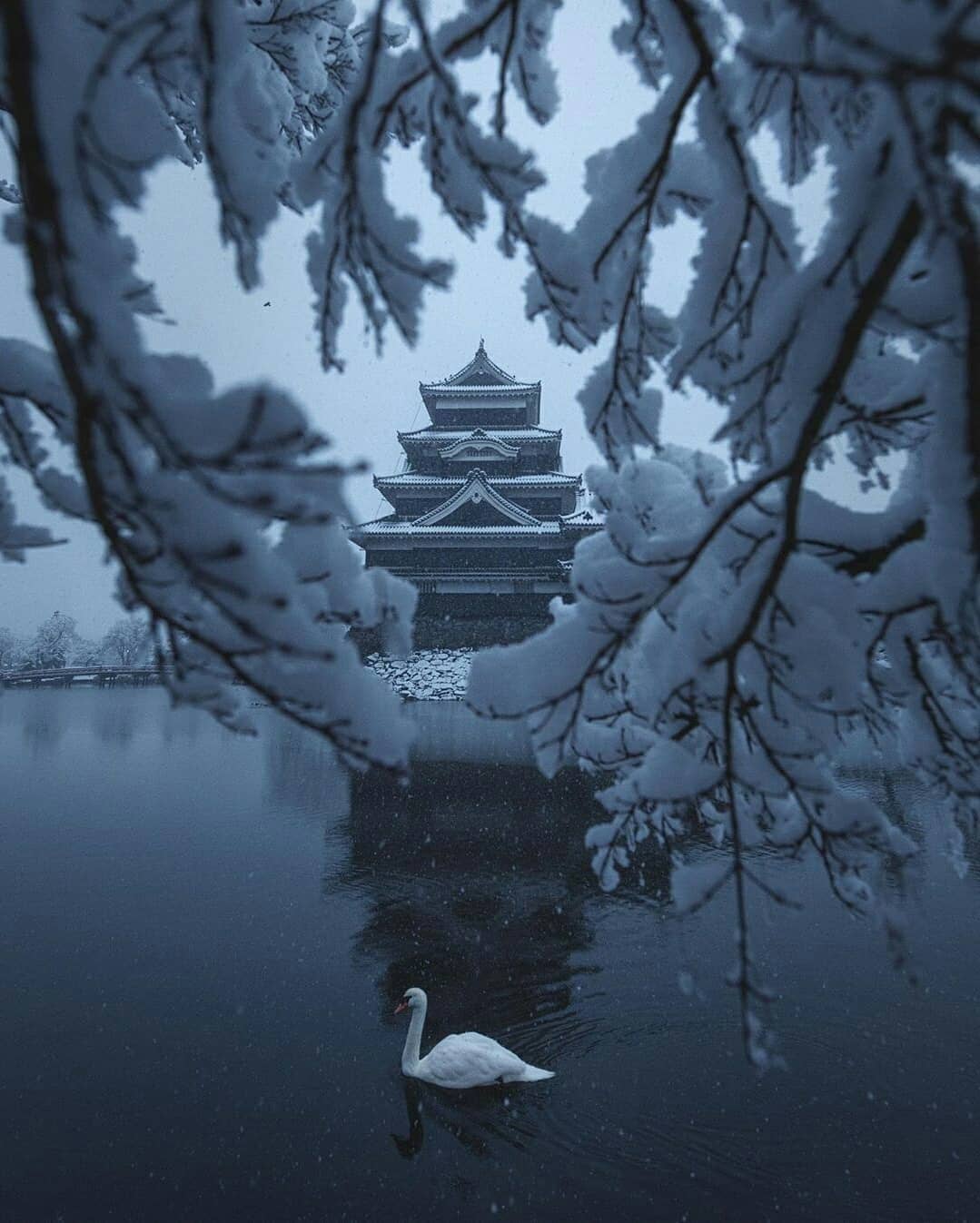 Visit Japan: A winter wonderland at Matsumoto Castle in Nagano - one of ...