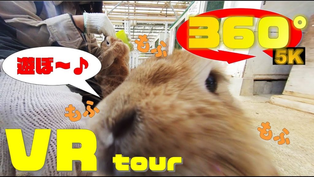 《高画質》[360° VR JAPAN Travel] 全方位に迫りくるモフモフに萌え死にした日 - Alo Japan All About ...