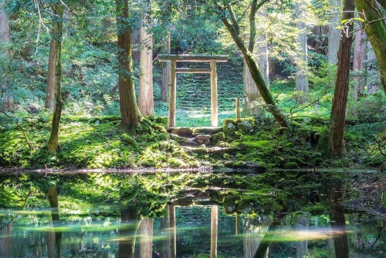 Visit Japan: If you're visiting Kyoto this month, consider taking a day ...