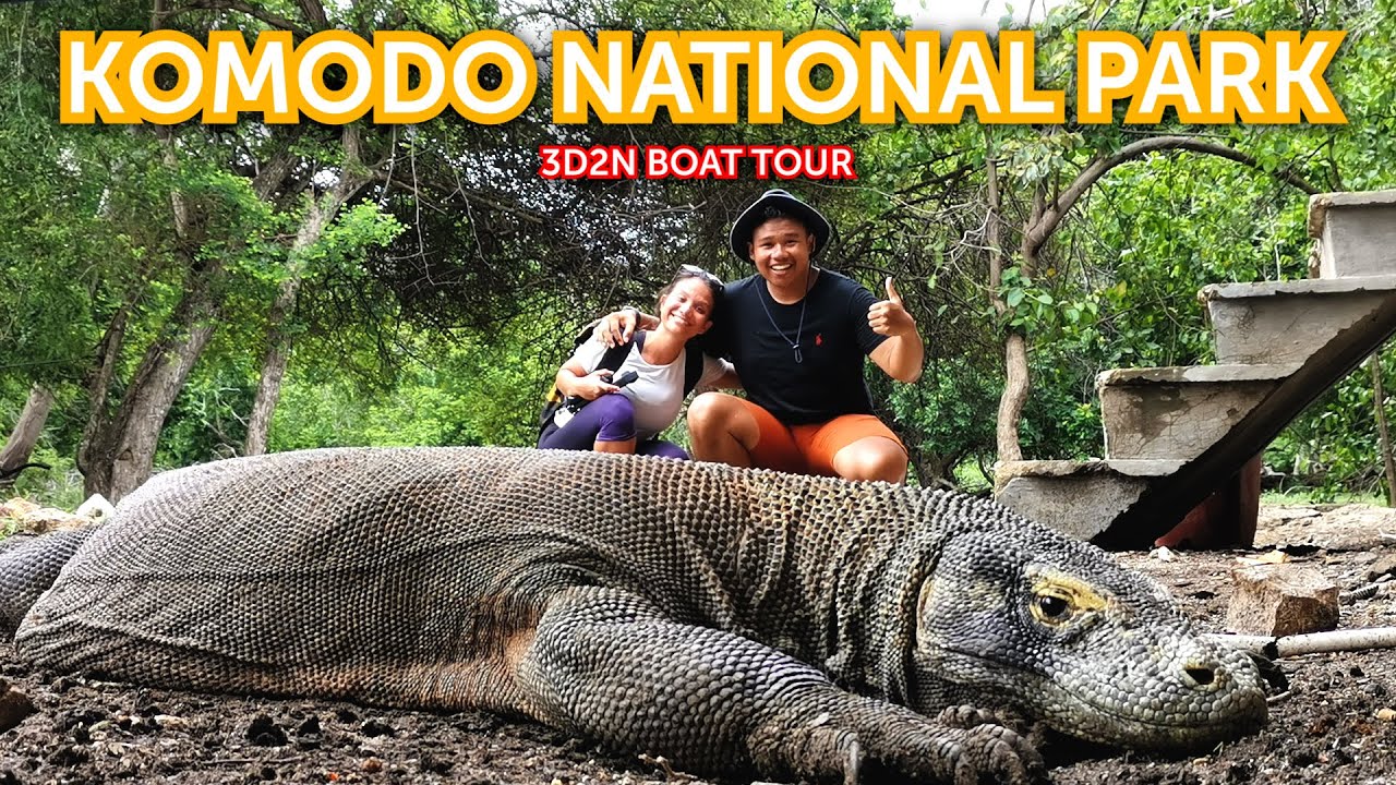 Komodo Island Tour - We went to see the world's largest lizards! The Komodo Dragons - Alo Japan
