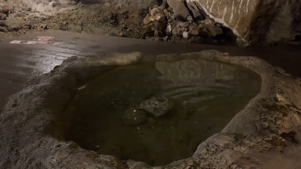 CAVE OKINAWA - Alo Japan