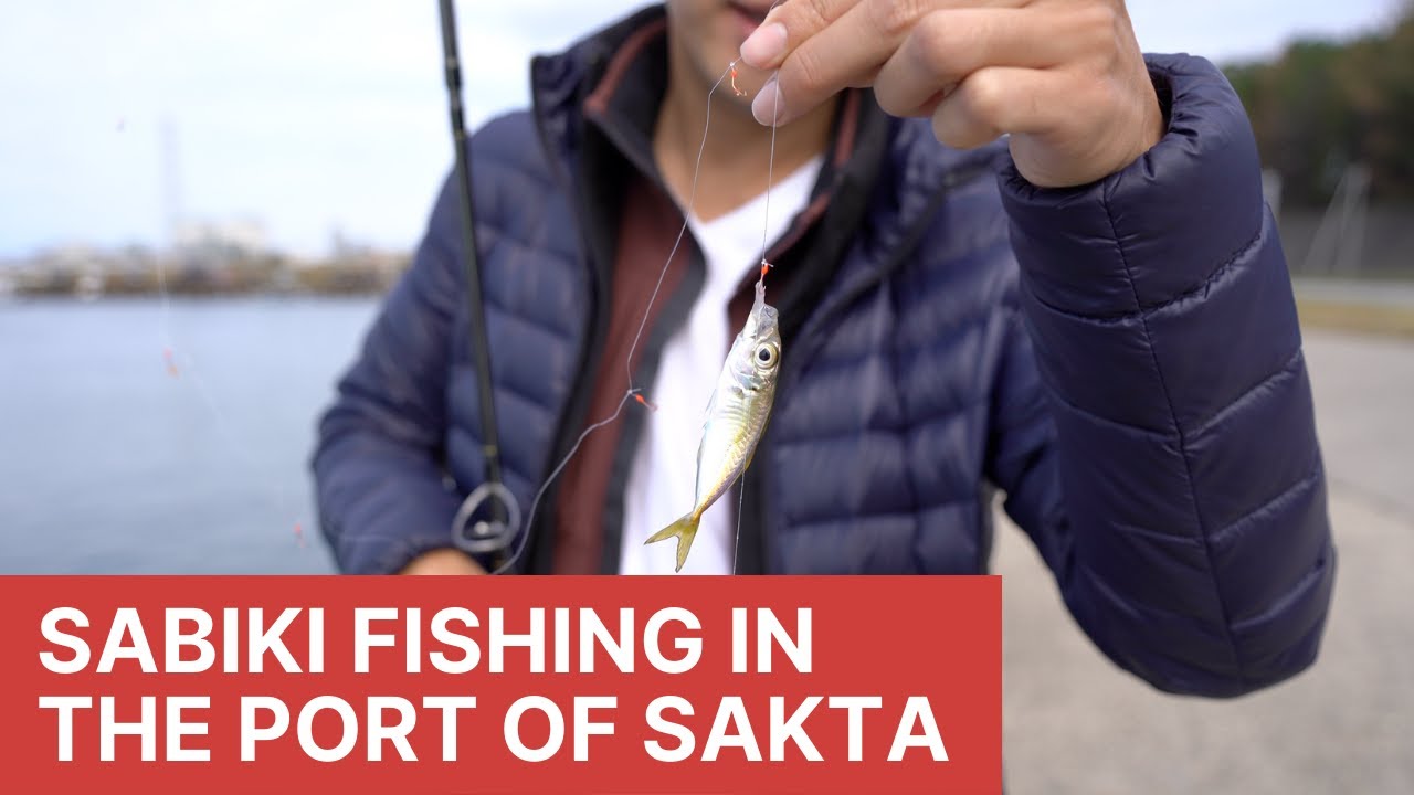 Sabiki Fishing in the Port of Sakata - Alo Japan