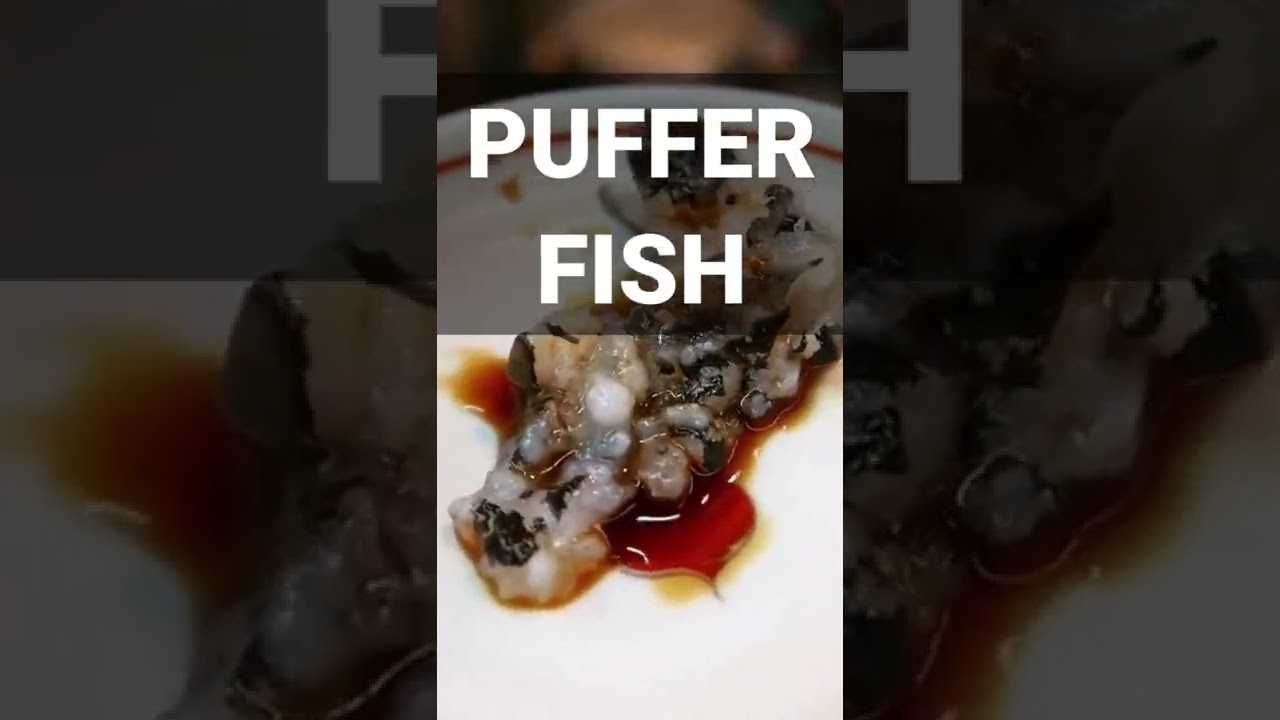 Cooking Puffer Fish | Street Food | Japanese Street Food Seafood ...
