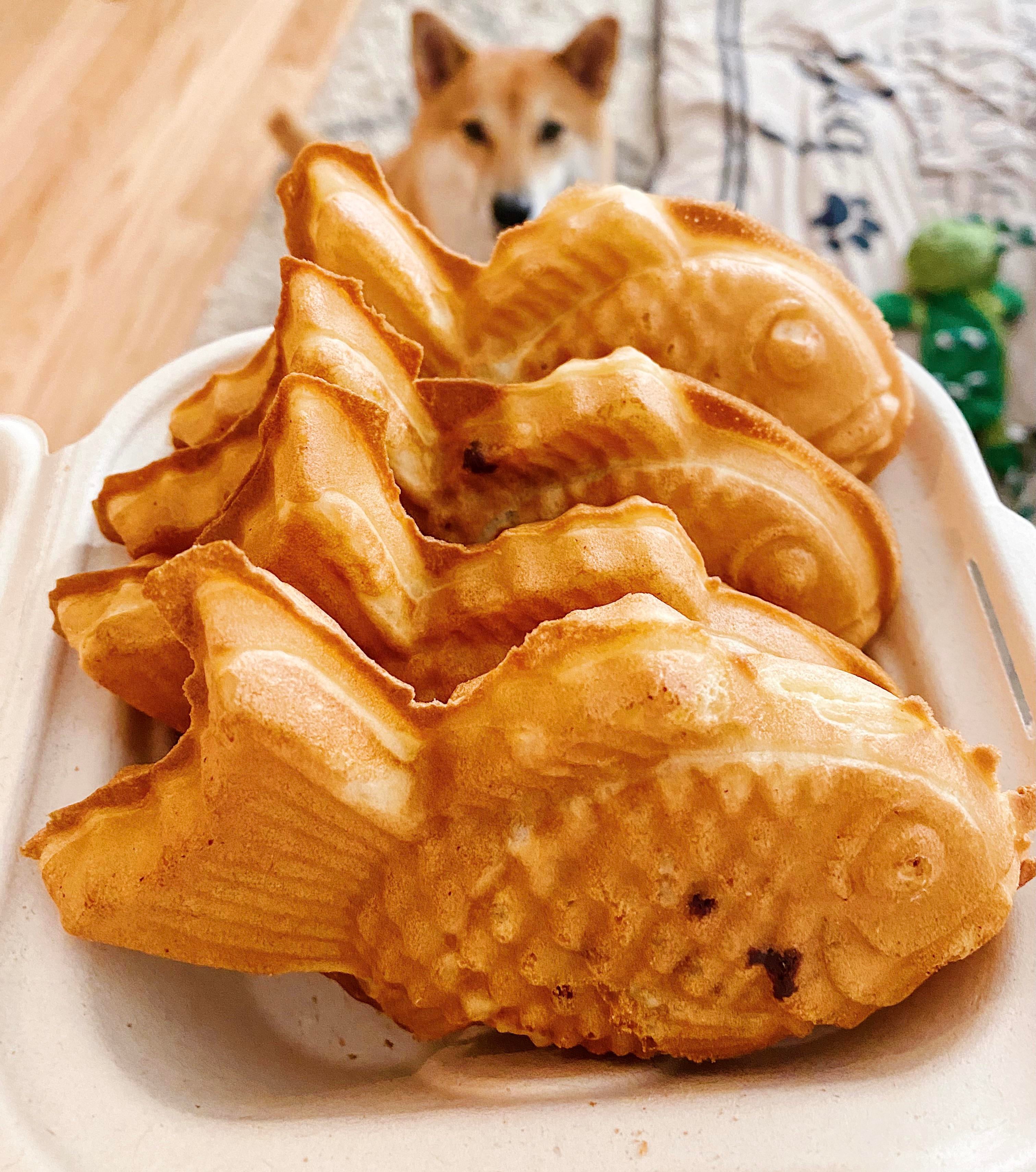 Nutella, red bean, custard taiyaki! The Nutella and custard are so good ...