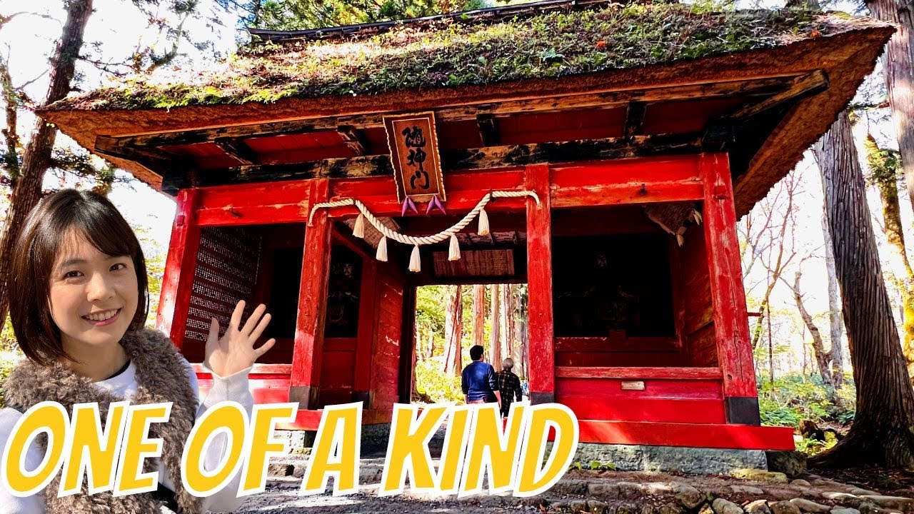 The legendary strongest shrine in Japan.【Togakushi shrine】 - Alo Japan ...