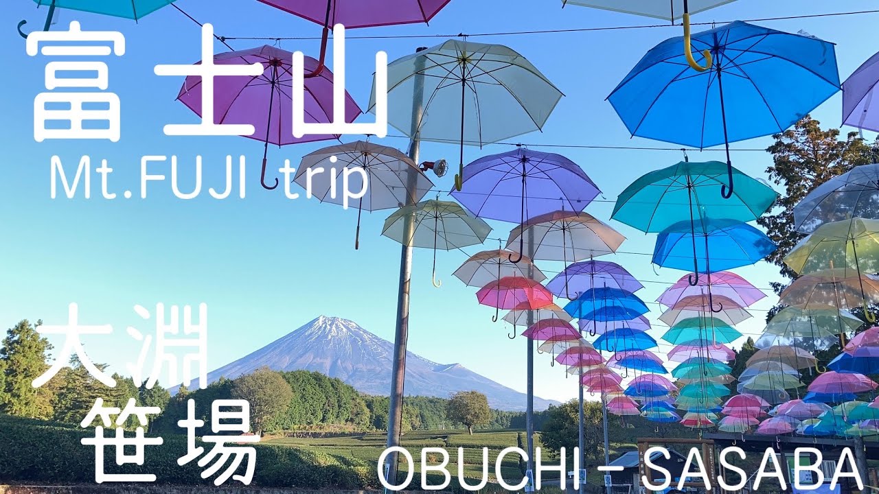 富士山 大淵笹場 Mt.FUJI OBUCHI‐SASABA アンブレラスカイ - Alo Japan All About Japan