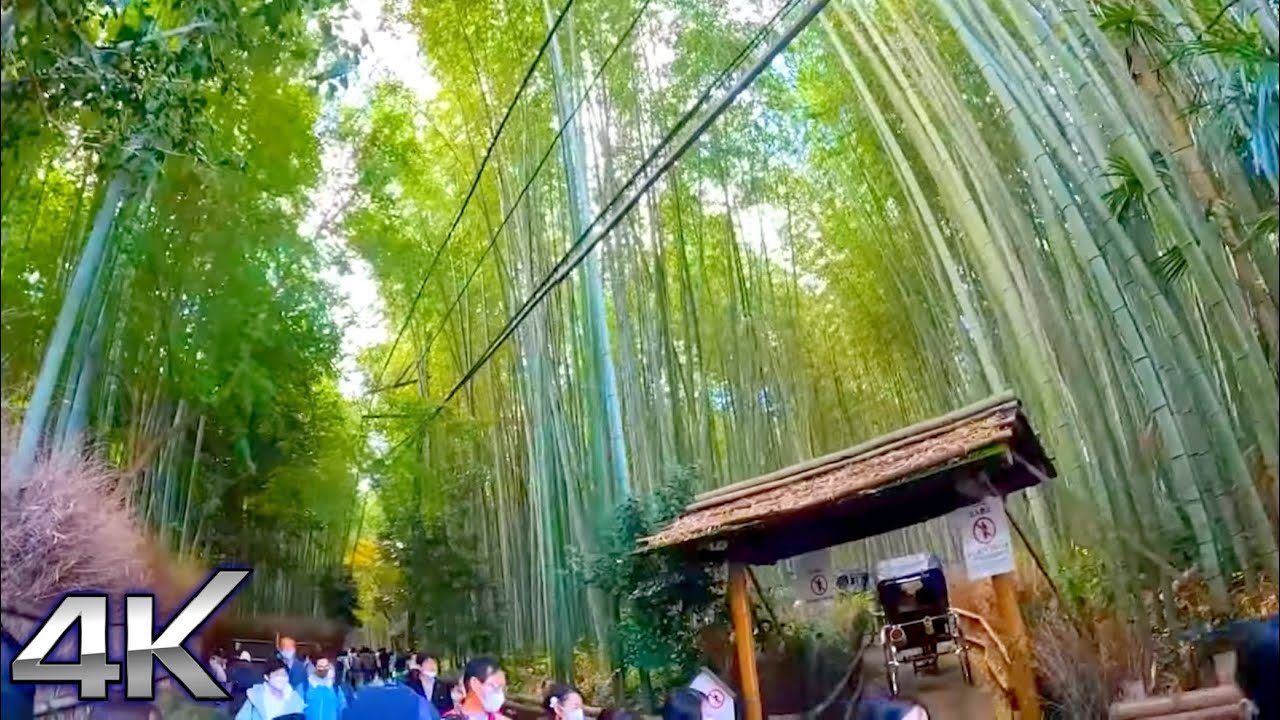 JAPAN WALK KYOTO 【4K HDR】 - Alo Japan All About Japan