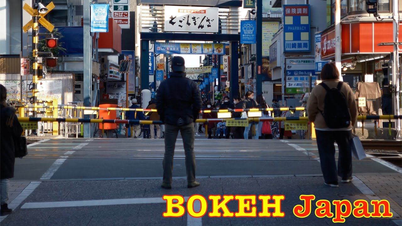 Bokeh Japan Walk - Calm shopping street on New Year's Eve in Tokyo - Alo Japan All About Japan