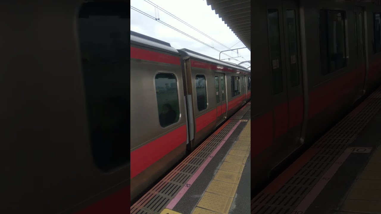 【新木場駅】京葉線のJR東日本E233系電車5000番台 快速 東京行の到着（東京都江東区）JR EAST Keiyo Line Shin-kiba Station Tokyo JAPAN ...