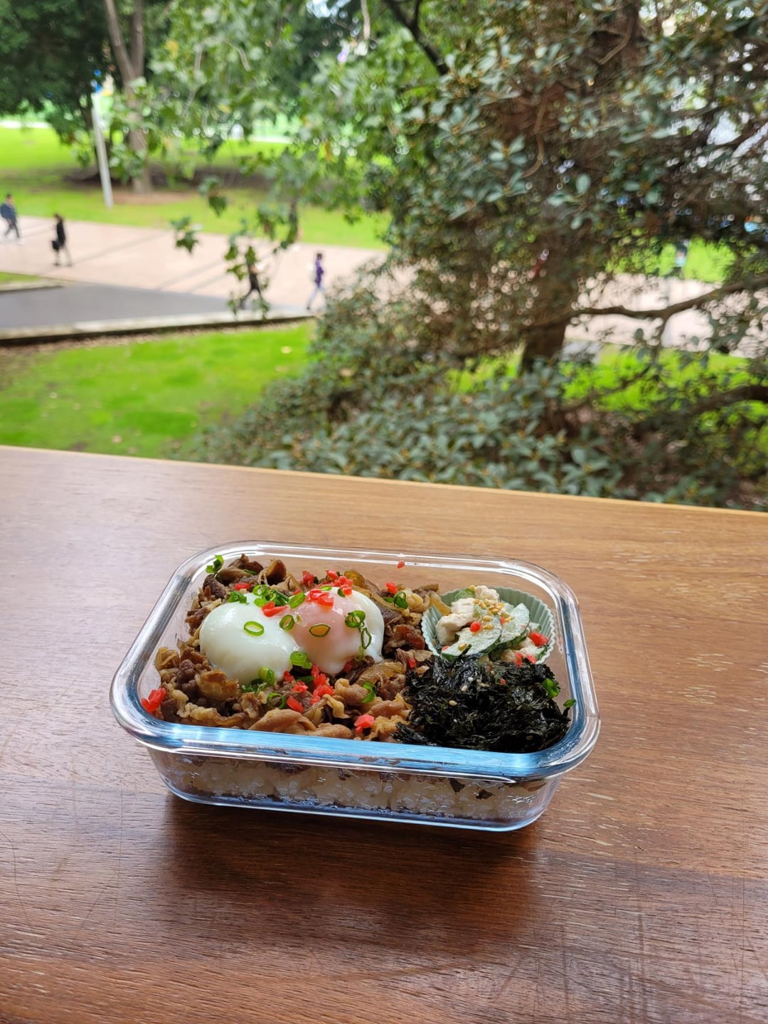 Weekly bento #7 - Gyudon bento! - Alo Japan All About Japan
