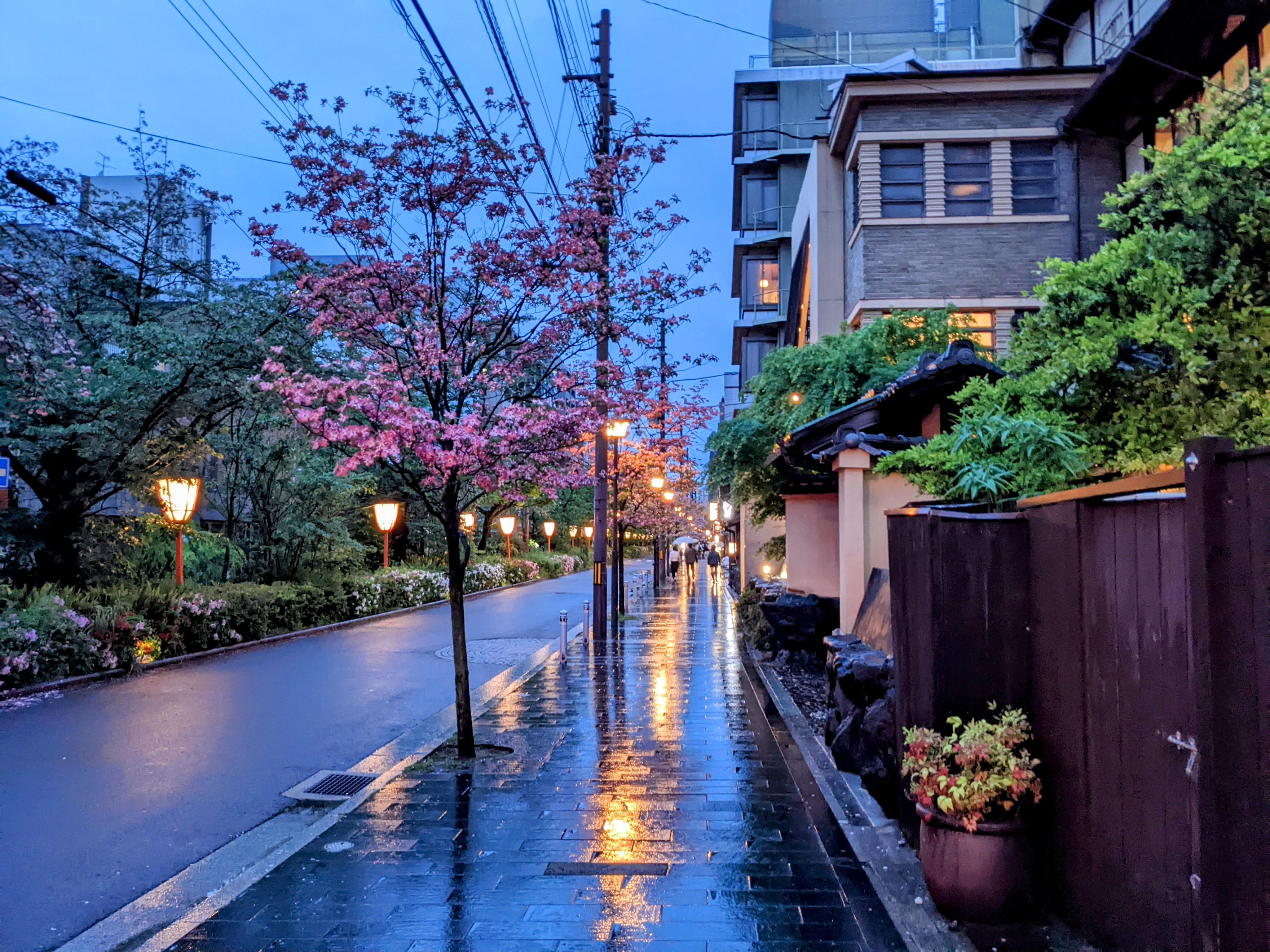 Rainy stroll though Kiyamachi dori - Alo Japan All About Japan