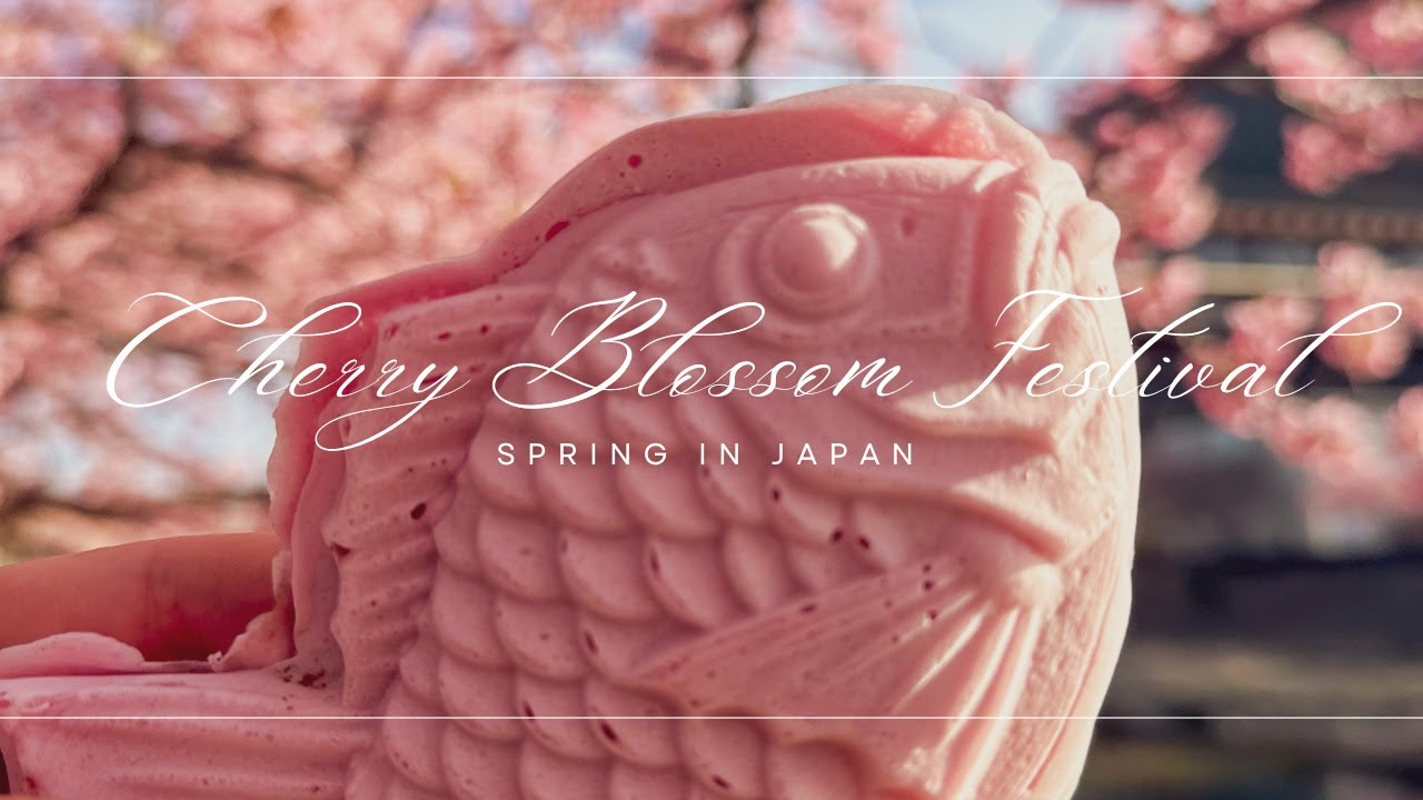 【4K】Cherry Blossom Festival in Rural Japan 🌸| THE BEST SAKURA SPOTS ...