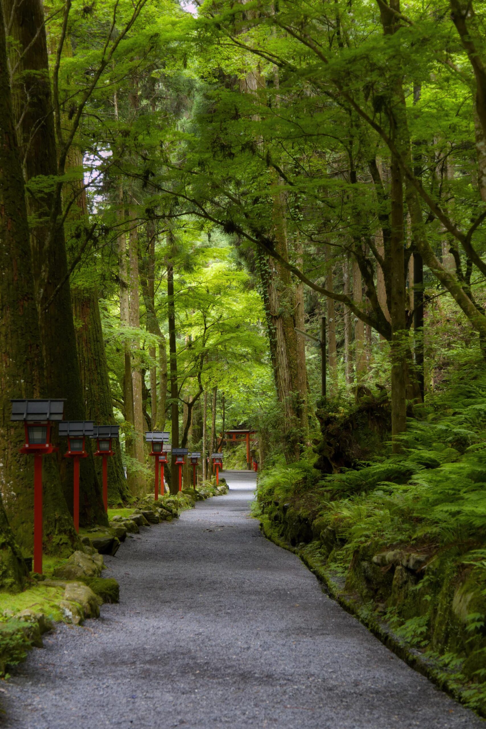 Approach to Kibune Shrine, Kyoto - Alo Japan All About Japan