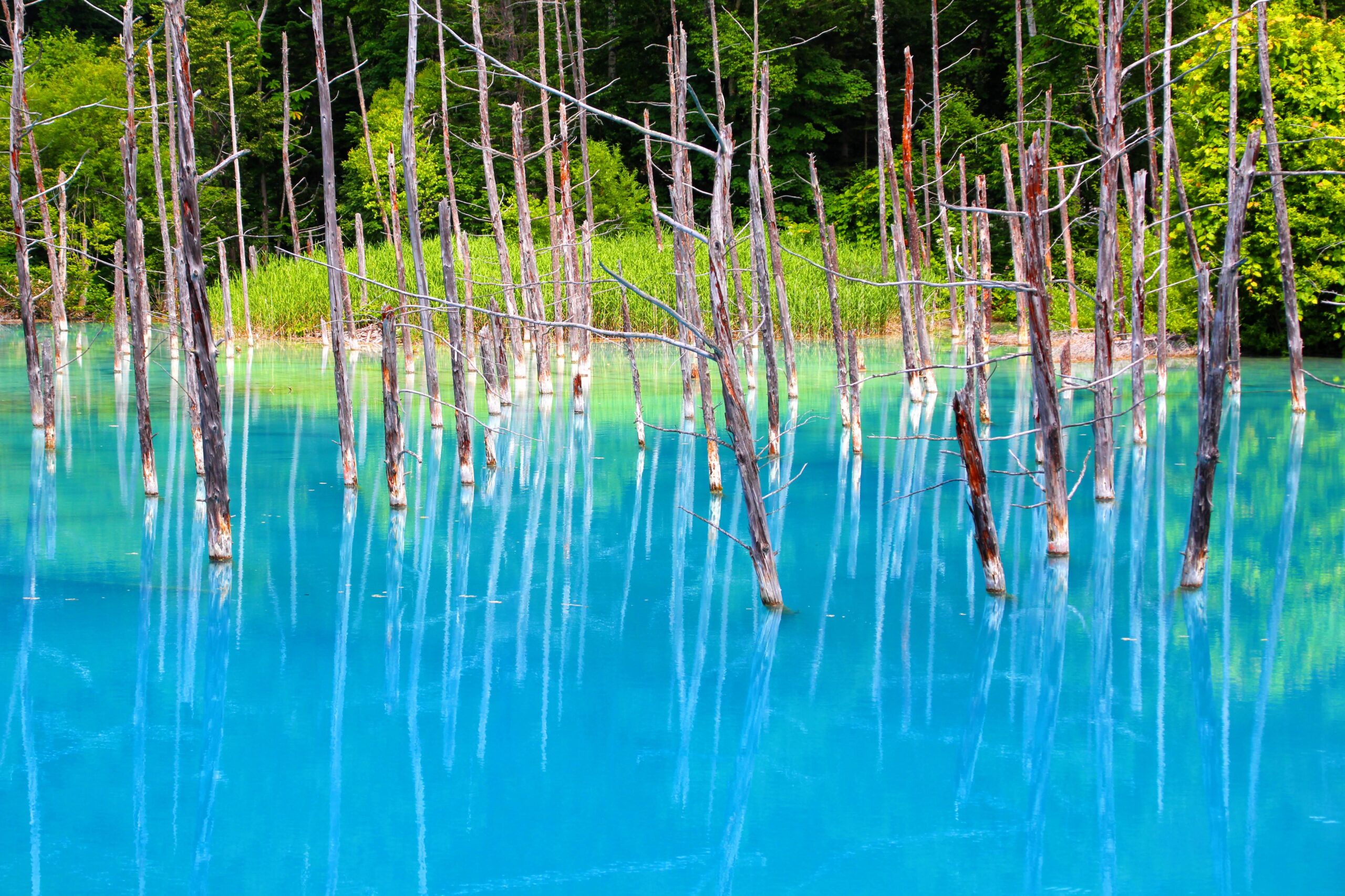 Shirogane pond, three years ago today (Hokkaido) - Alo Japan All About ...