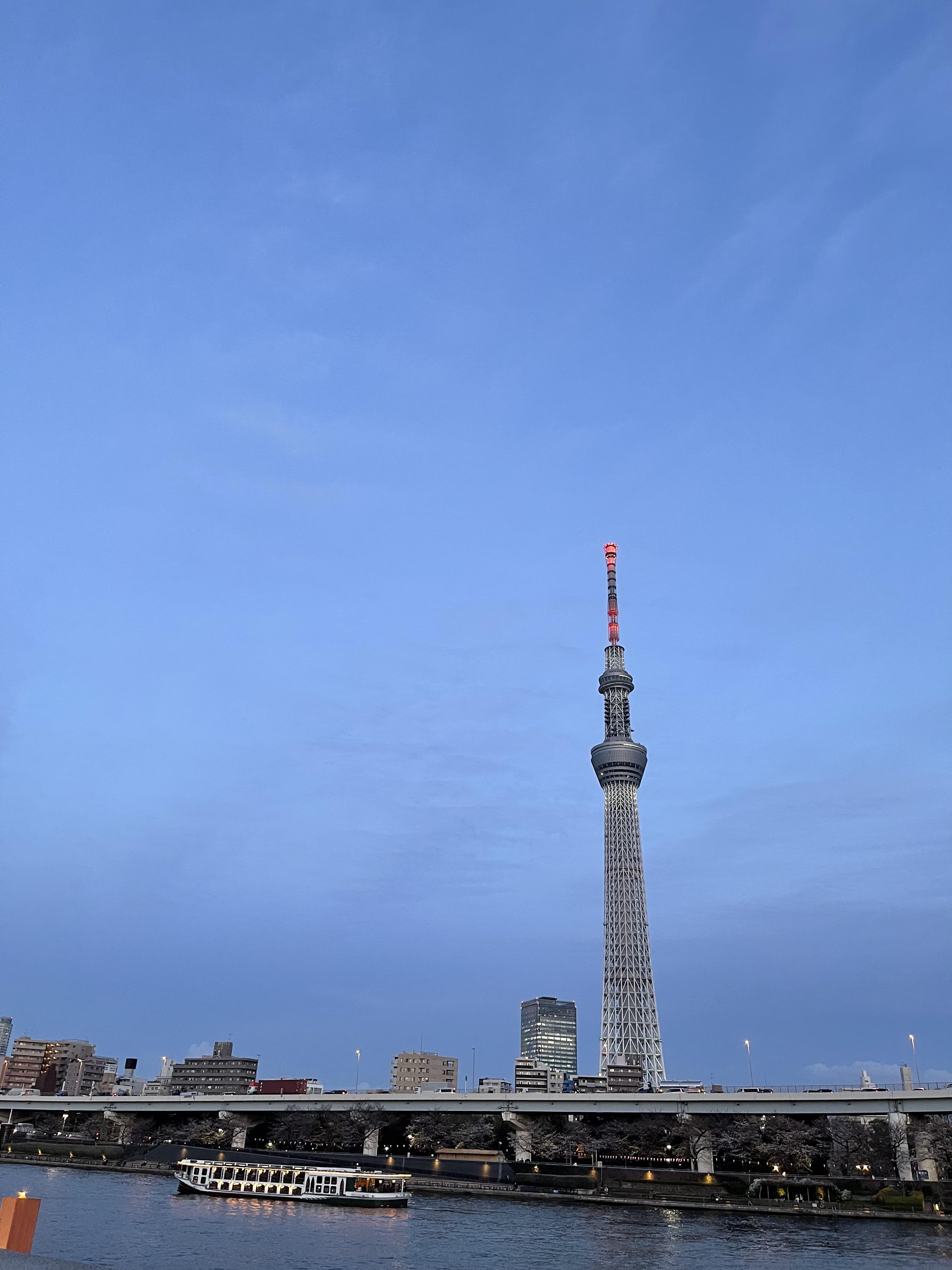 POV from Sumida Park: Tokyo Skytree - Alo Japan All About Japan