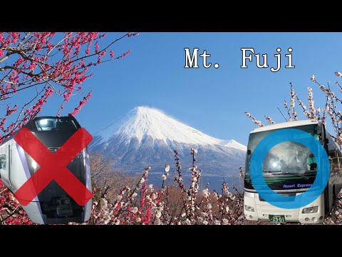 Why you should use bus instead of express train to go to Mt. Fuji - Alo ...