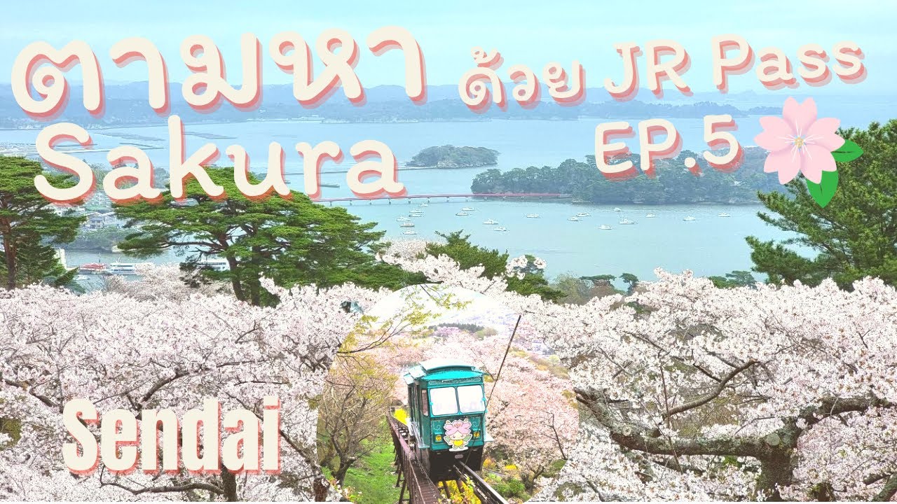 ตามหา Sakura full bloom โดยใช้ JR Pass All Area EP5 Sendai - Alo Japan