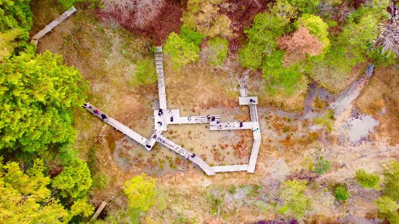 NUCB SDG Project 2023 - Ricoh Elemex Ena Forest November 9, 2023 - Alo ...